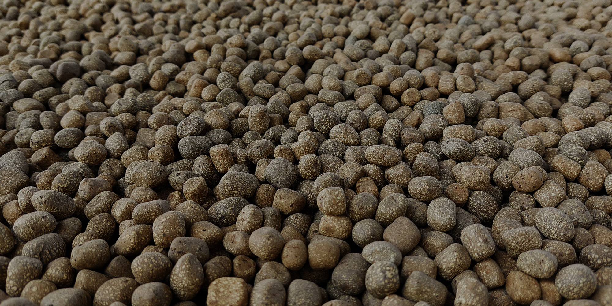 Nexclay - Arcilla Expandida S.A.